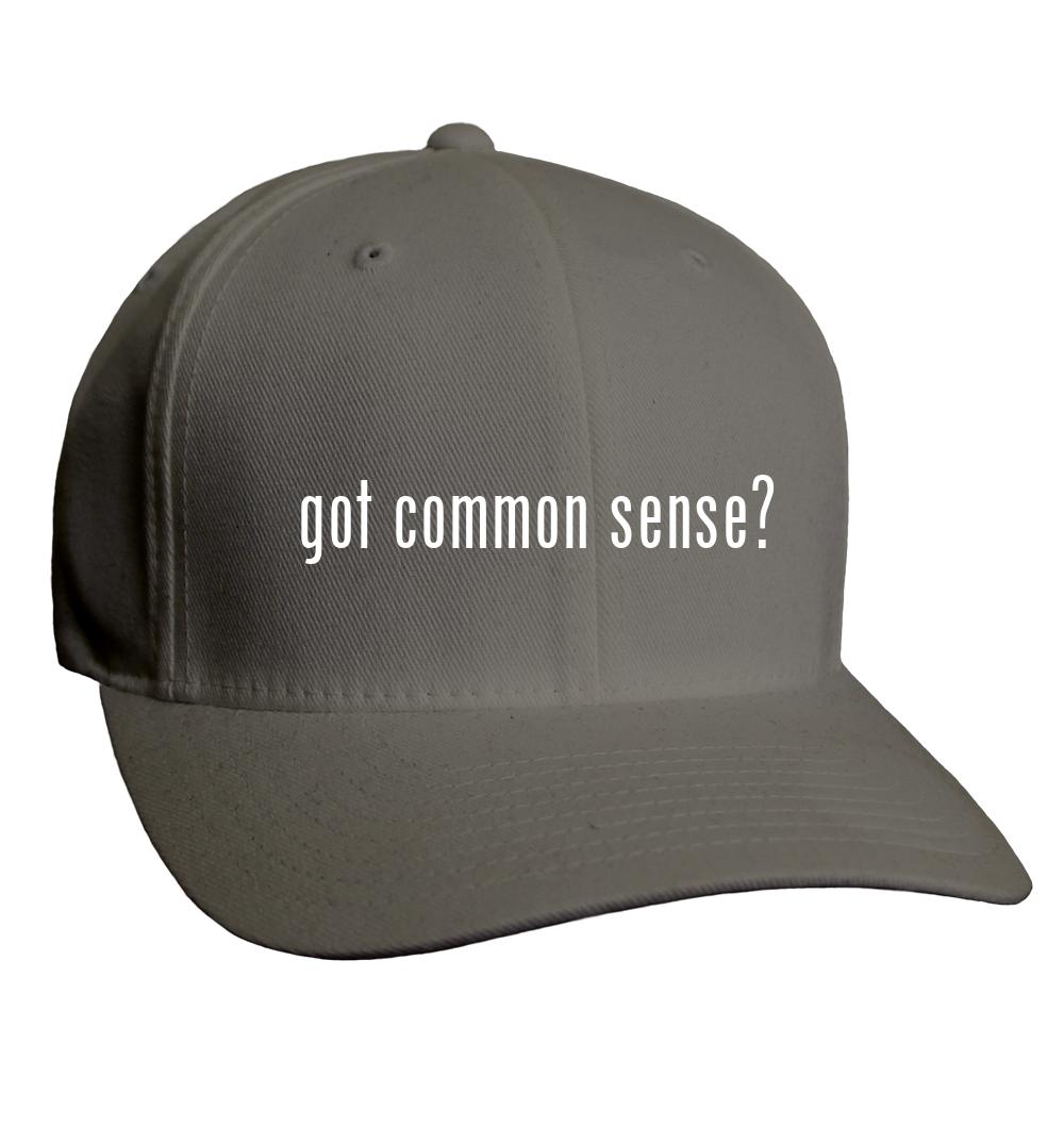 got common sense? - Adult Baseball Cap Hat NEW RARE | eBay